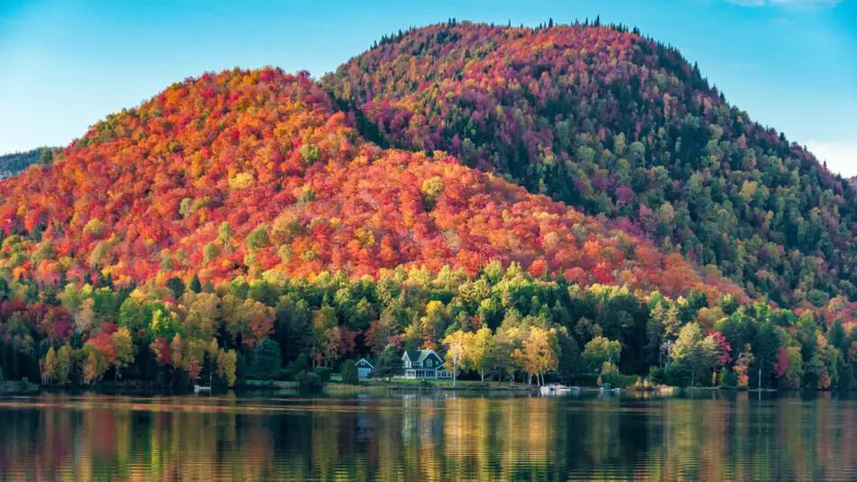 Virgin Voyages Introduces “Fall Foliage” Sailings for Autumn 2025 - VV ...