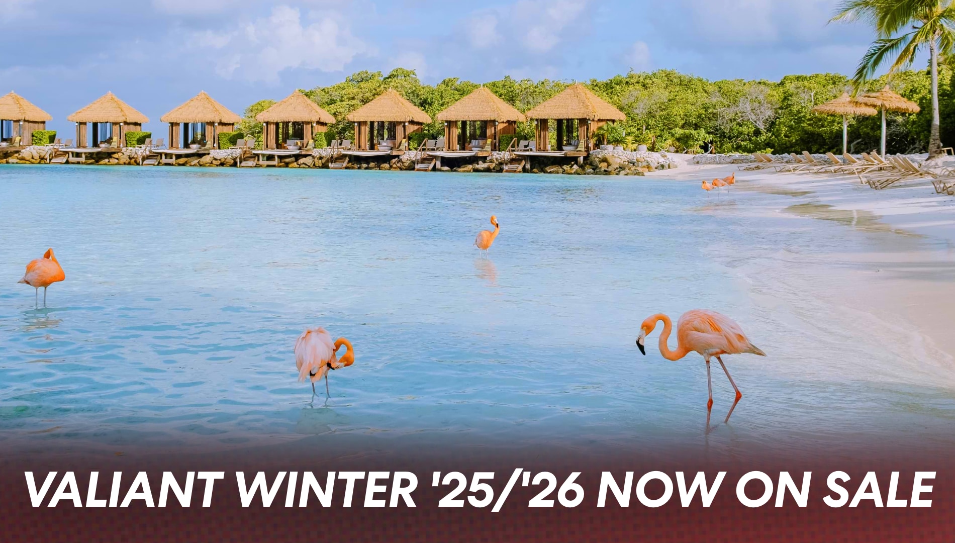 Valiant Lady Winter '25/'26 Now On Sale - VV Insider