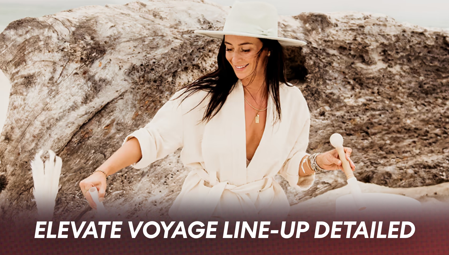 Elevate Voyage 2025 Programming Line-Up Detailed - VV Insider